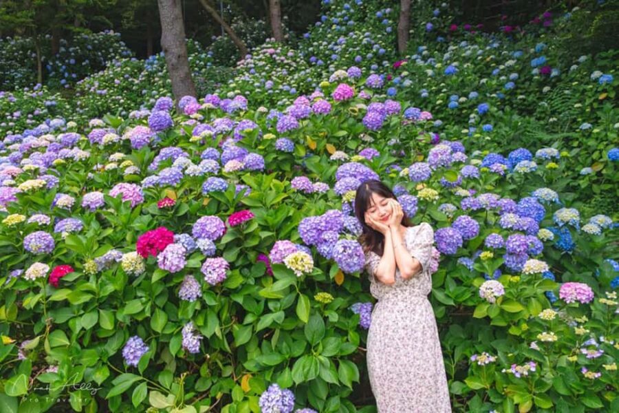 Busan: Taejongdae, Songdo Cable Car, Gamcheon Village &Beach - The Sum Up