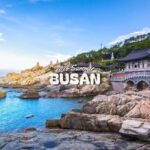 Busan: Top Attractions Authentic One-Day Guided Tour - Practical Tips for Future Travelers