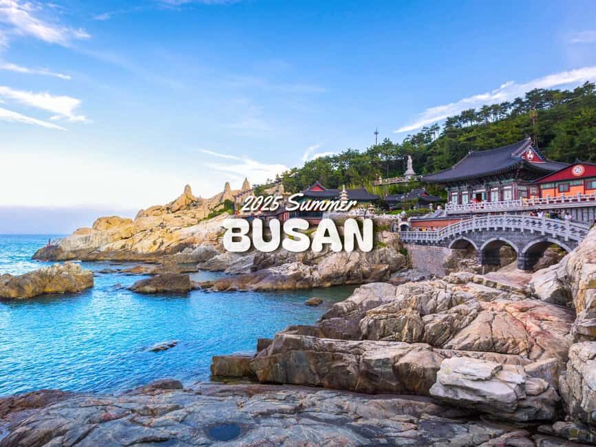 Busan: Top Attractions Authentic One-Day Guided Tour - Practical Tips for Future Travelers