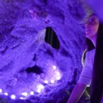 Byron Bay: Crystal Castle & Shambhala Gardens Entry Ticket - Who Will Love This Experience?