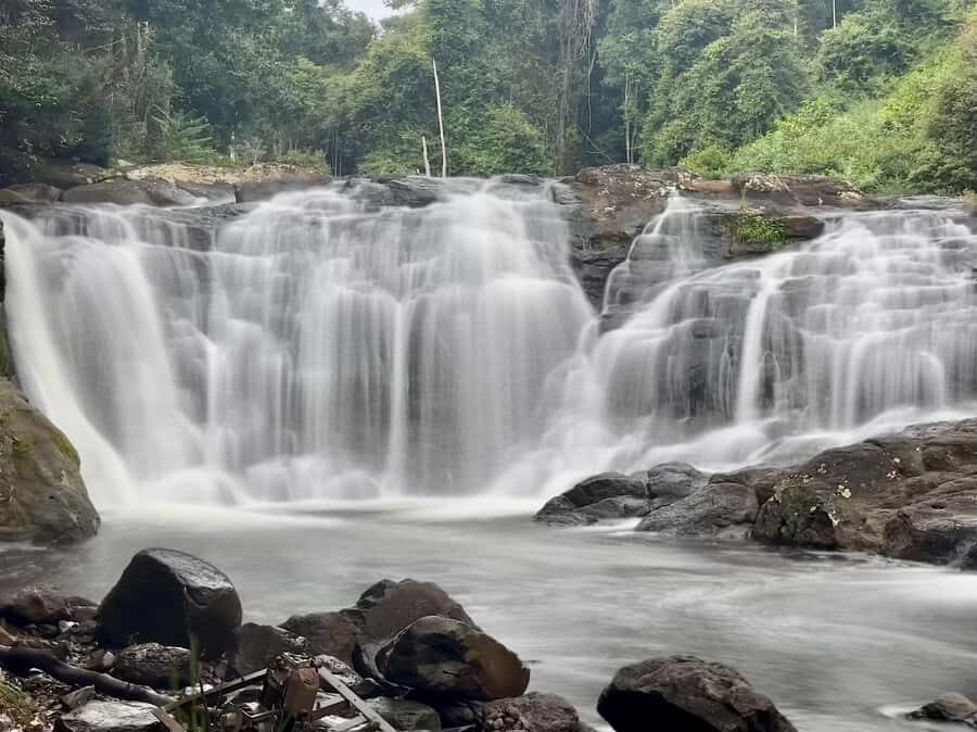 Byron Bay: Rainforest Waterfalls Guided Eco Tour - Key Points