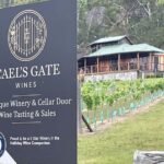 Cael's Gate Wine Tasting with Cheese and Charcuterie Board - Who Will Love This Experience?