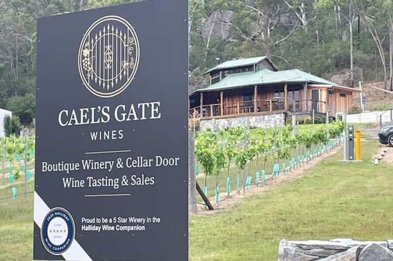 Cael's Gate Wine Tasting with Cheese and Charcuterie Board - Who Will Love This Experience?