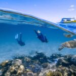 Cairns : 2 Days Daintree & Reef Experience - Final Thoughts: Is It Worth It?