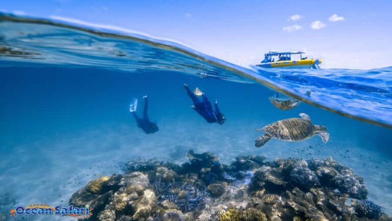 Cairns : 2 Days Daintree & Reef Experience - Final Thoughts: Is It Worth It?