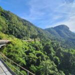 Cairns: 3 days - Daintree, Kuranda, Reef, Accommodation - Who Should Consider This Tour?