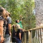 Cairns: Aboriginal Cultural Discovery Tour - Practical Details and Considerations