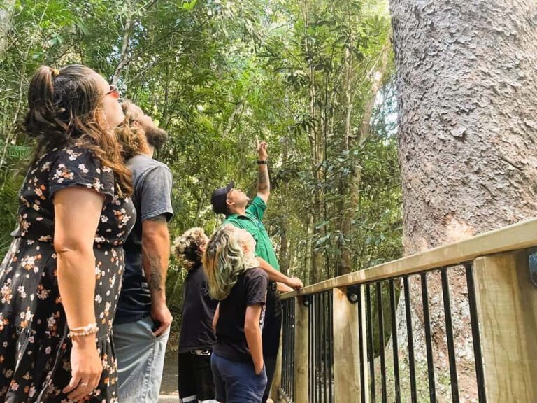 Cairns: Aboriginal Cultural Discovery Tour - Practical Details and Considerations