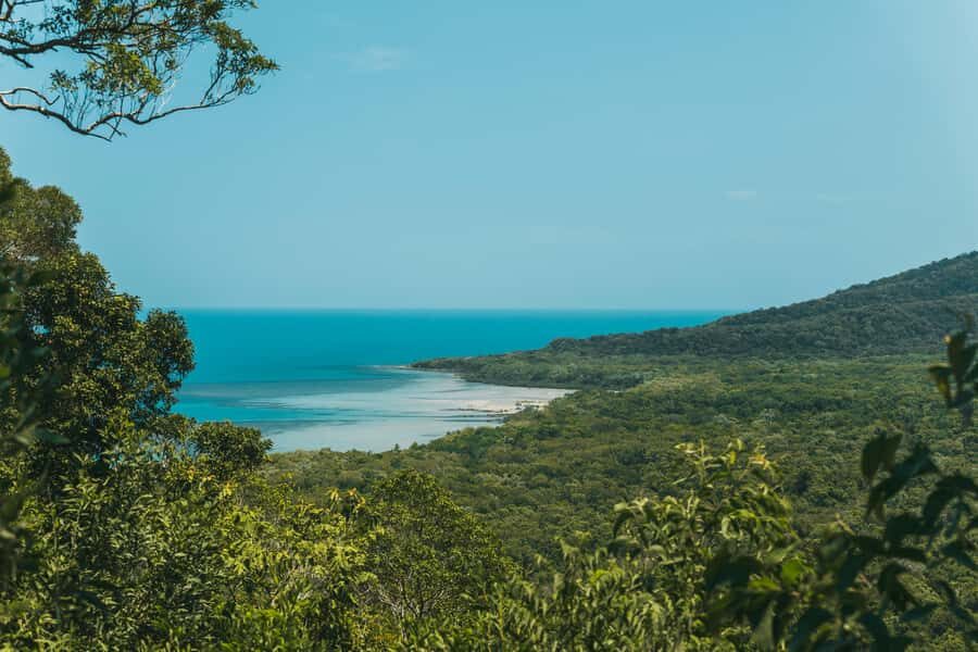 Cairns: Cape Tribulation & Daintree Rainforest Premium Tour - The Real Travel Experience: What to Expect