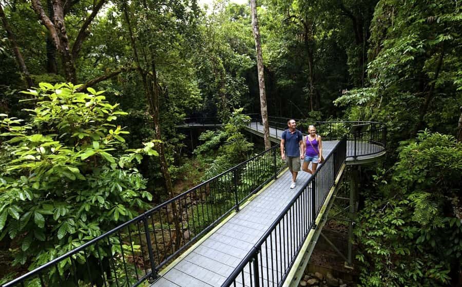 Cairns: Cape Tribulation, Mossman Gorge & Daintree Day Tour - Starting Early: Convenient Pickup and Scenic Drive