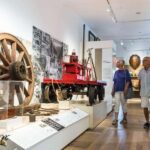 Cairns City: Cairns Koala & Creatures + City Sights Tour - Who This Tour Is Best For