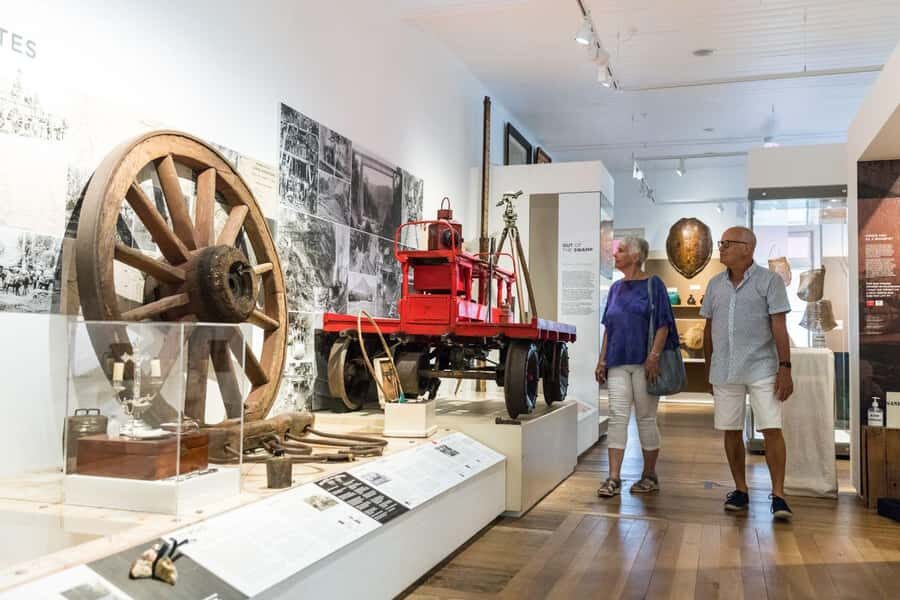 Cairns City: Cairns Koala & Creatures + City Sights Tour - Who This Tour Is Best For