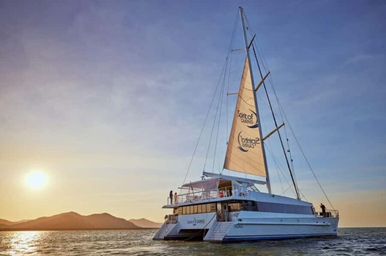Cairns: City Sights Tour with Evening Dinner Cruise - The Dinner Cruise: A Relaxing Nightcap