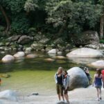 Cairns Daintree Rainforest and Cape Tribulation 2-Day Tour - Who Should Book This Tour?