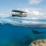 Cairns: Great Barrier Reef Small Group Snorkelling Tour - What Makes This Tour Stand Out?