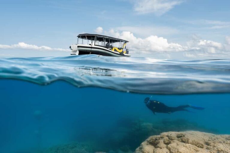 Cairns: Great Barrier Reef Small Group Snorkelling Tour - What Makes This Tour Stand Out?