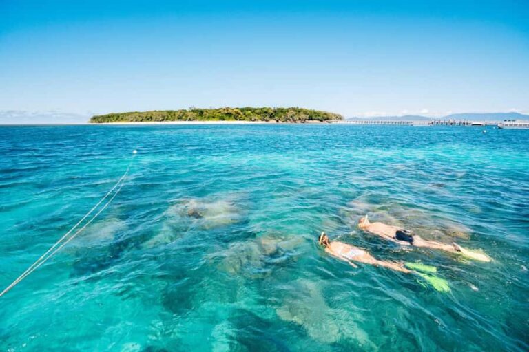 Cairns: Green Island, Snorkelling and Glass-Bottom Boat - Authentic Experiences and Real-World Insights