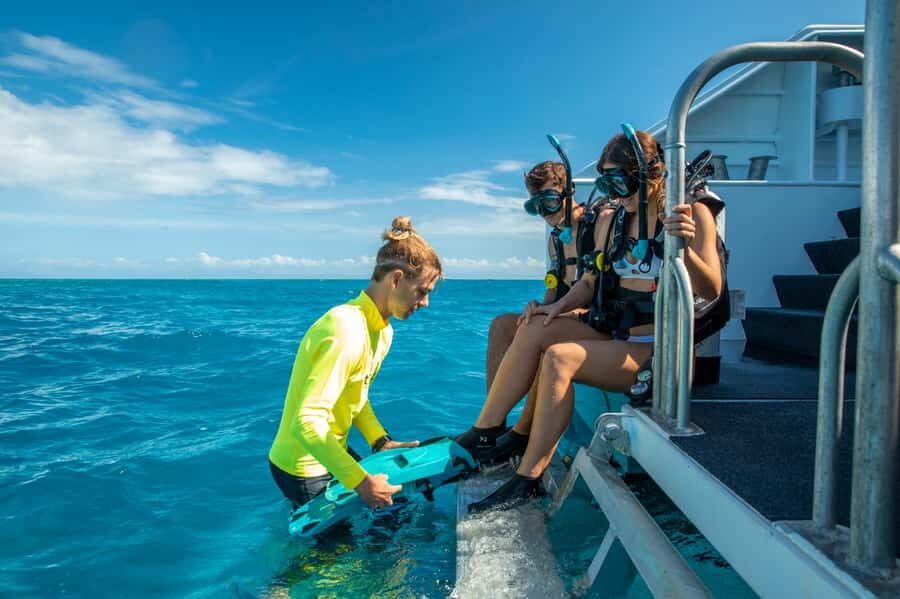 Cairns: Half-Day Outer Reef Snorkel Tour - The Itinerary in Detail