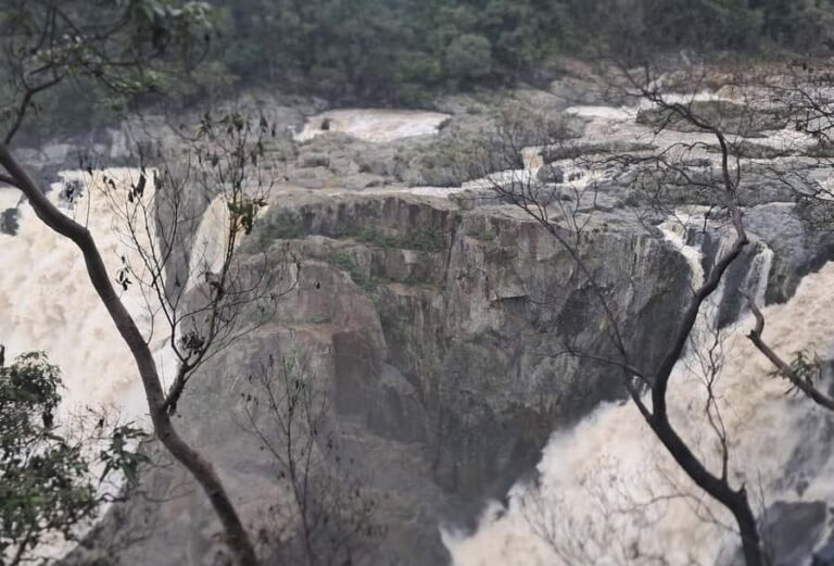 Cairns: Kuranda Scenic Railway & Skyrail Small Group Tour - The Value of Inclusivity and Comfort