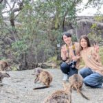 Cairns: Mareeba Wildlife and Coffee Tour - What Makes This Tour Stand Out