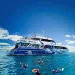 Cairns: Premium Snorkelling and Diving Reef Day Trip - What You Can Expect