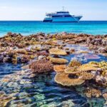 Cairns: Pro Dive 5 Day Learn to Dive Great Barrier Reef - The Itinerary in Detail