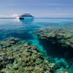 Cairns: Pro Dive Great Barrier Reef 3 Day/2 Night Dive Trip - What Makes This Trip Stand Out