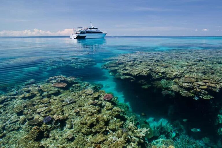 Cairns: Pro Dive Great Barrier Reef 3 Day/2 Night Dive Trip - What Makes This Trip Stand Out