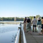 Cairns: Waterfall, Wetlands & Kuranda Scenic Rail All Inclusive - Authentic Traveler Feedback and Considerations