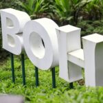 Cameron Highlands Day Tour from Ipoh with Mossy Forest - Frequently Asked Questions