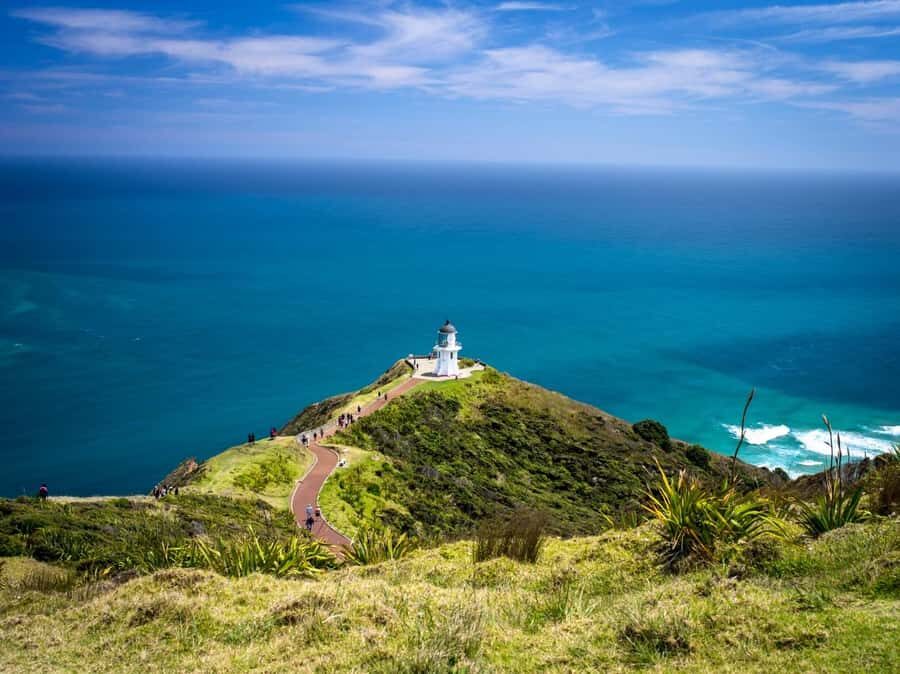 Cape Reinga: Day Trip from Paihia, Kerikeri, or Kaitaia - Practical Details and What to Pack