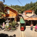 Captivating Railway Journey in Coromandel - What To Expect on Your Journey