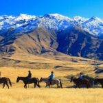 Cardrona High Country Pub Trail Horse Trek (Intermediate level+) - Why the Experience Is Valuable