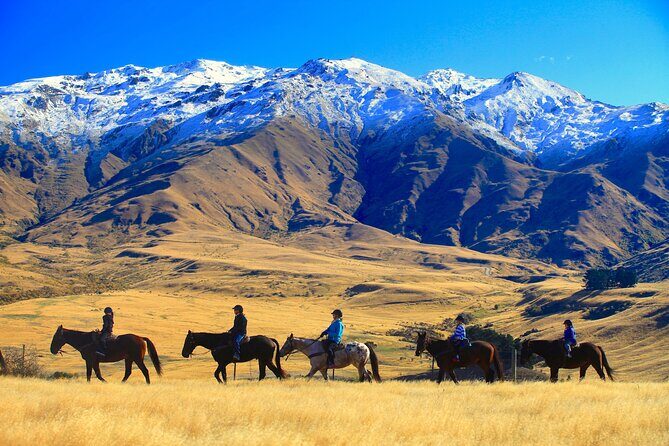 Cardrona High Country Pub Trail Horse Trek (Intermediate level+) - Why the Experience Is Valuable