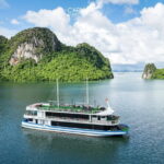 Carnival Cruises - Halong Day Cruise 5-Star, Caves, Kayak & Lunch - What Sets This Tour Apart