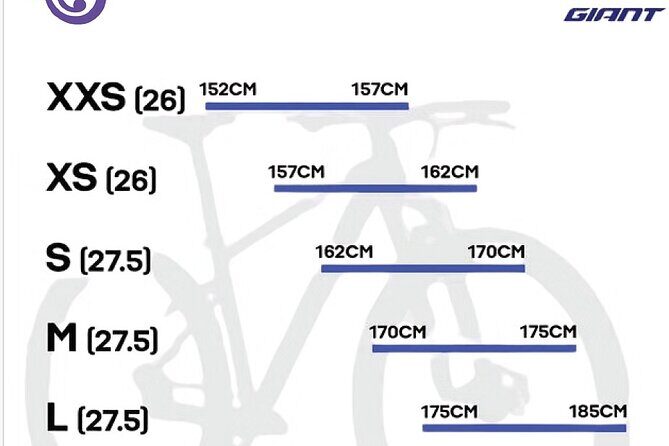 Cat Ba Bike Rental - Interpreting the Value