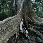 Cat Tien National Park 2-Day Tour: Biking, Trekking, Safari Night - Authentic Experiences and Genuine Value