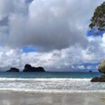 Cathedral Cove & Coromandel Private Experience from Auckland - The Ups and Downs