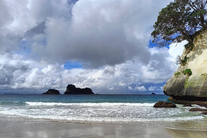 Cathedral Cove & Coromandel Private Experience from Auckland - The Ups and Downs