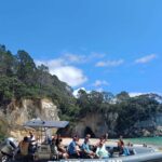 Cathedral Cove Electric Fat Tyre Bike Tour with Local Guide - Key Points to Remember