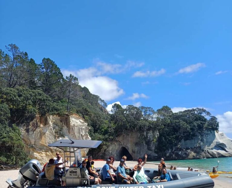 Cathedral Cove Electric Fat Tyre Bike Tour with Local Guide - Key Points to Remember