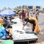 Chennai: Private Day Tour with Transportation and Tickets - Analyzing the Experience