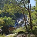 Chiang Mai 2 Day 1 Night Jungle Trekking and Bamboo Rafting - Authentic Experiences That Stand Out