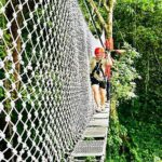 Chiang Mai 3 in 1 Zipline, Elephants and Sticky Waterfall - Who Is This Tour Best For?