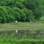 Chiang Mai Fields of Gold Cycling Tour - What You Can Expect from the Tour