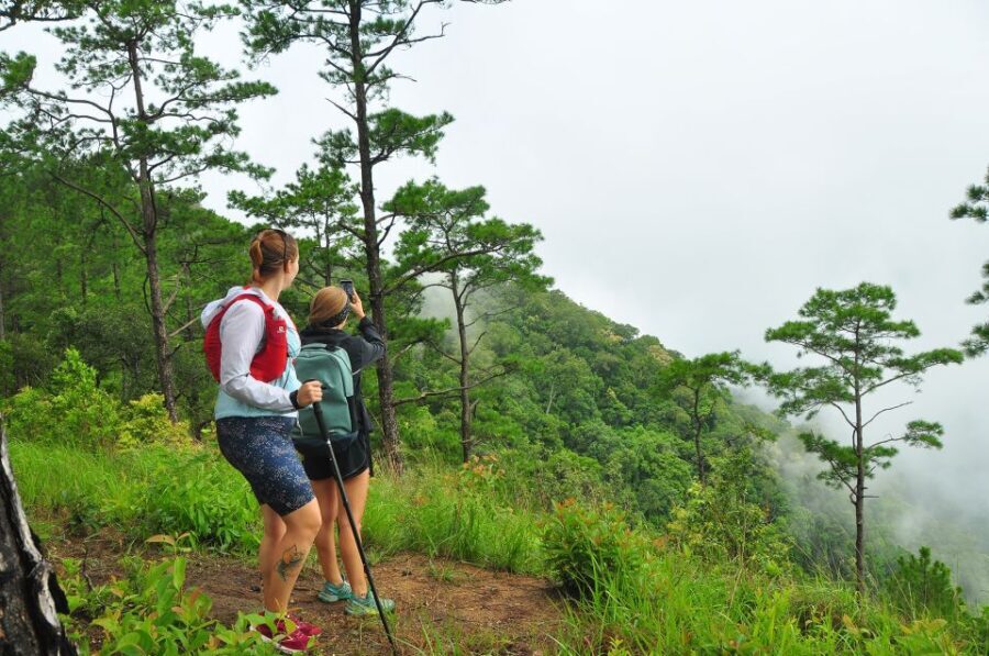 Chiang Mai: Full-Day Hiking Tour by Trailhead - Real Experiences: What Past Travelers Say
