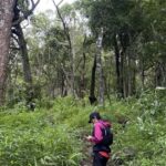 Chiang Mai: Hmong Village, Doi Suthep and Wat Pha Lat Trek - Exploring the Scenic and Spiritual Monks Trail