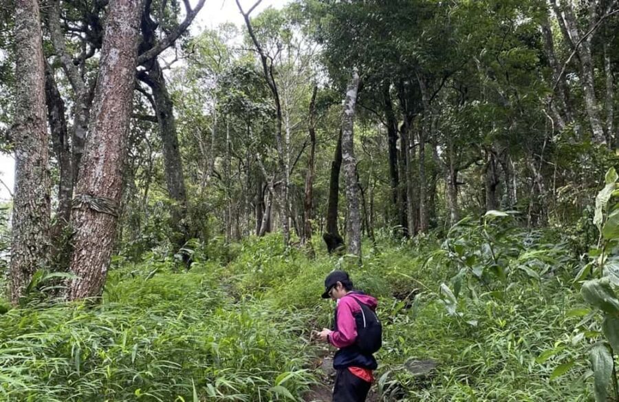 Chiang Mai: Hmong Village, Doi Suthep and Wat Pha Lat Trek - Exploring the Scenic and Spiritual Monks Trail