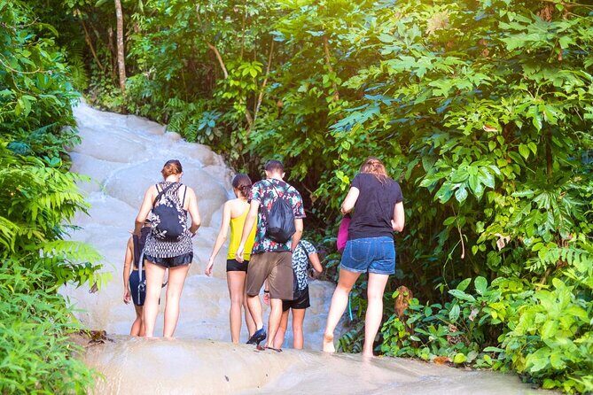 Chiang Mai: Sticky Waterfall by Local Truck with Market Stop - A Deep Dive into the Experience