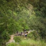 Chiang Mai : Thep Sadet & Coffee Plantation Full Day Hiking - Visiting Thepsadet Coffee: Authentic & Tasty